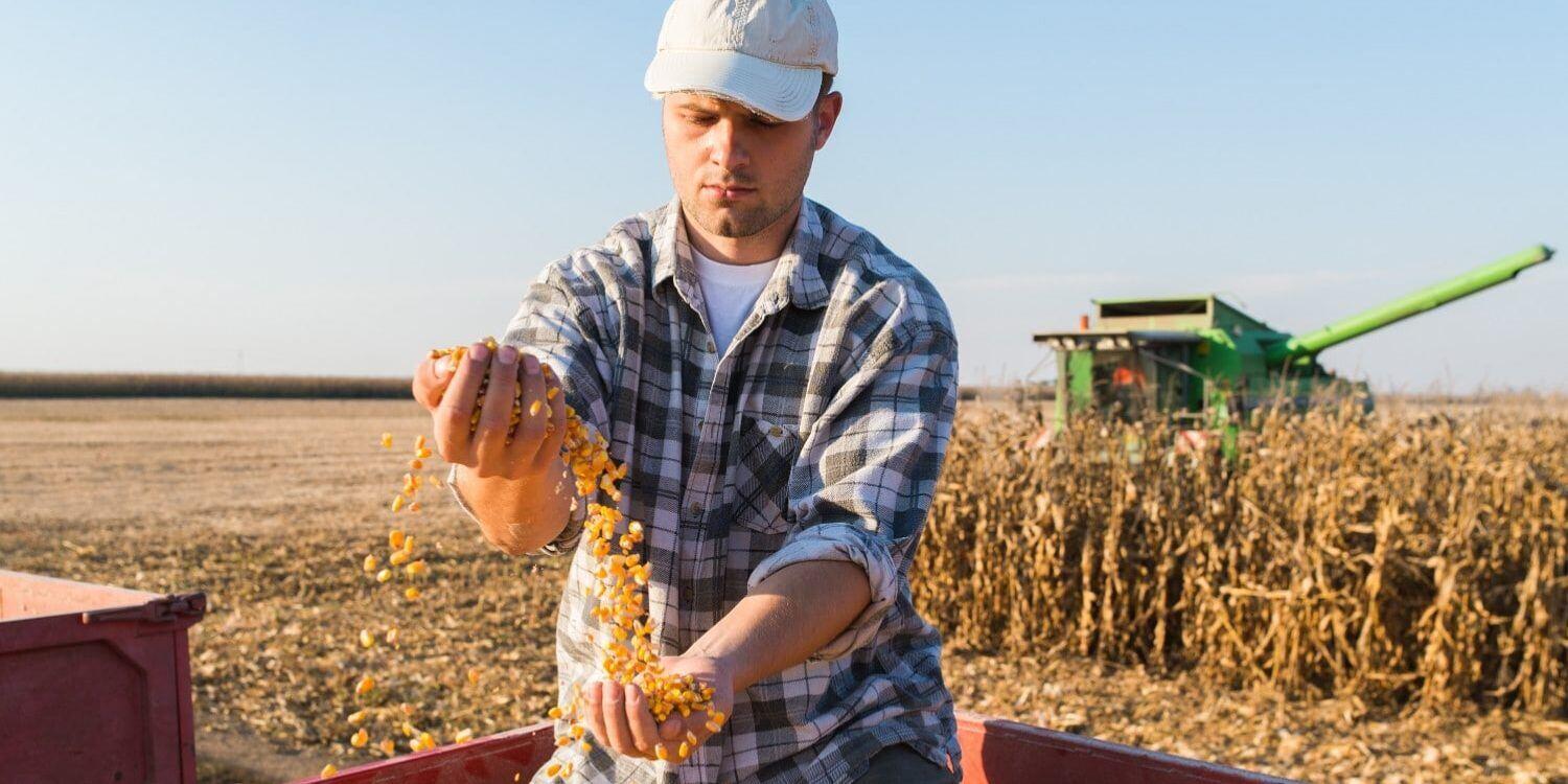 Trading Corn Futures: What You Need to Know | StoneX
