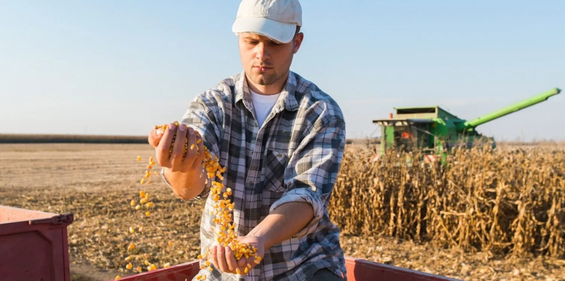 Hedging Your Crop with Futures vs Options | StoneX